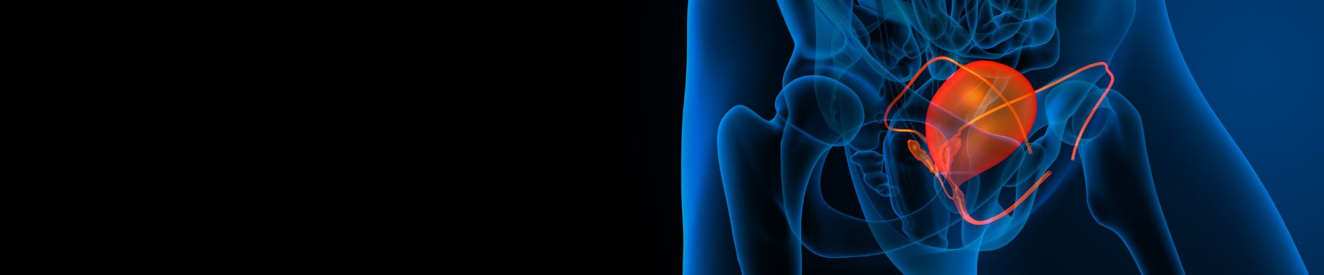 Bladder & Bowel Function Tests - Murrays Chemist & Travel Clinic